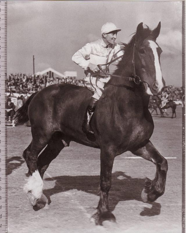 Photograph; Scobie Breasley - Australian Racing Museum