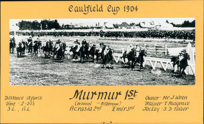 Race card - Australian Racing Museum