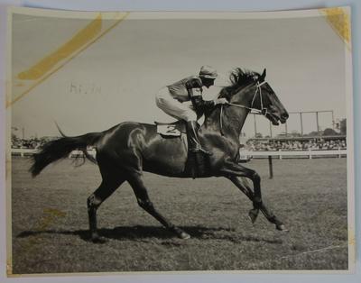 Photograph; Rising Fast - Australian Racing Museum