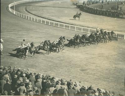 Peter Pan - Australian Racing Museum