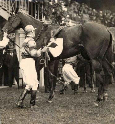 Photograph; Peter Pan and Darby Munro - Australian Racing Museum