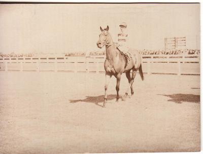 Photograph; Aurie's Star - Australian Racing Museum