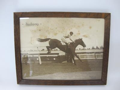 Photograph; Mosstrooper - Australian Racing Museum