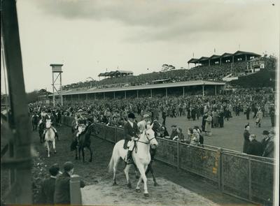 Photograph; Return to Scale - Australian Racing Museum