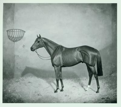 Photograph; Painting of Luskin Star - Australian Racing Museum