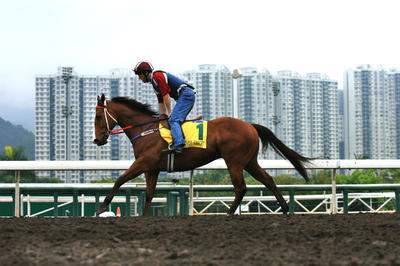 Takeover Target - Australian Racing Museum