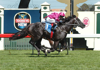 Lonhro - Australian Racing Museum