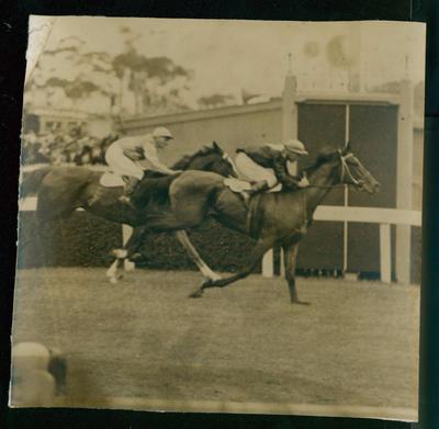 Photograph - Australian Racing Museum