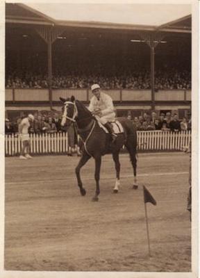 Photograph; Tranquil Star and Scobie Breasley - Australian Racing Museum
