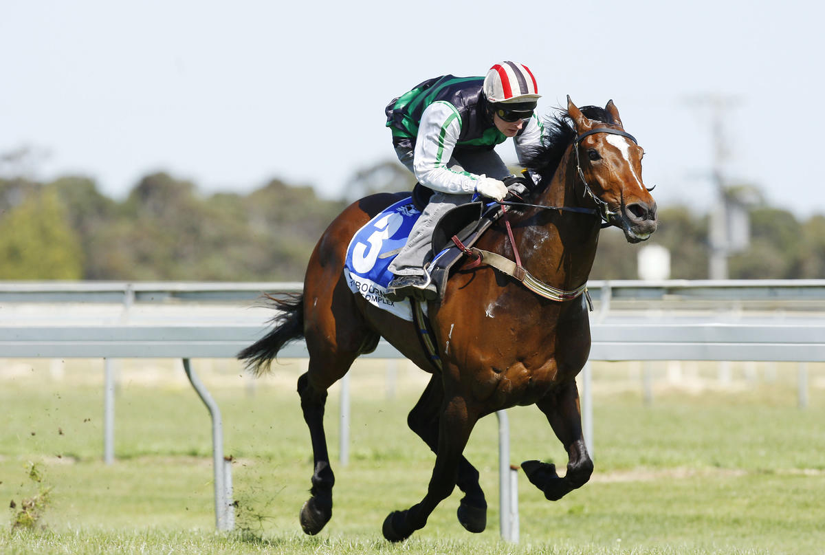 Miss Andretti - Australian Racing Museum