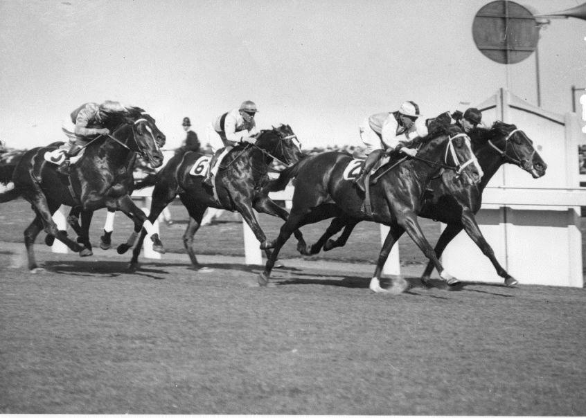 Photograph; Memsie Stakes 1936 - Australian Racing Museum