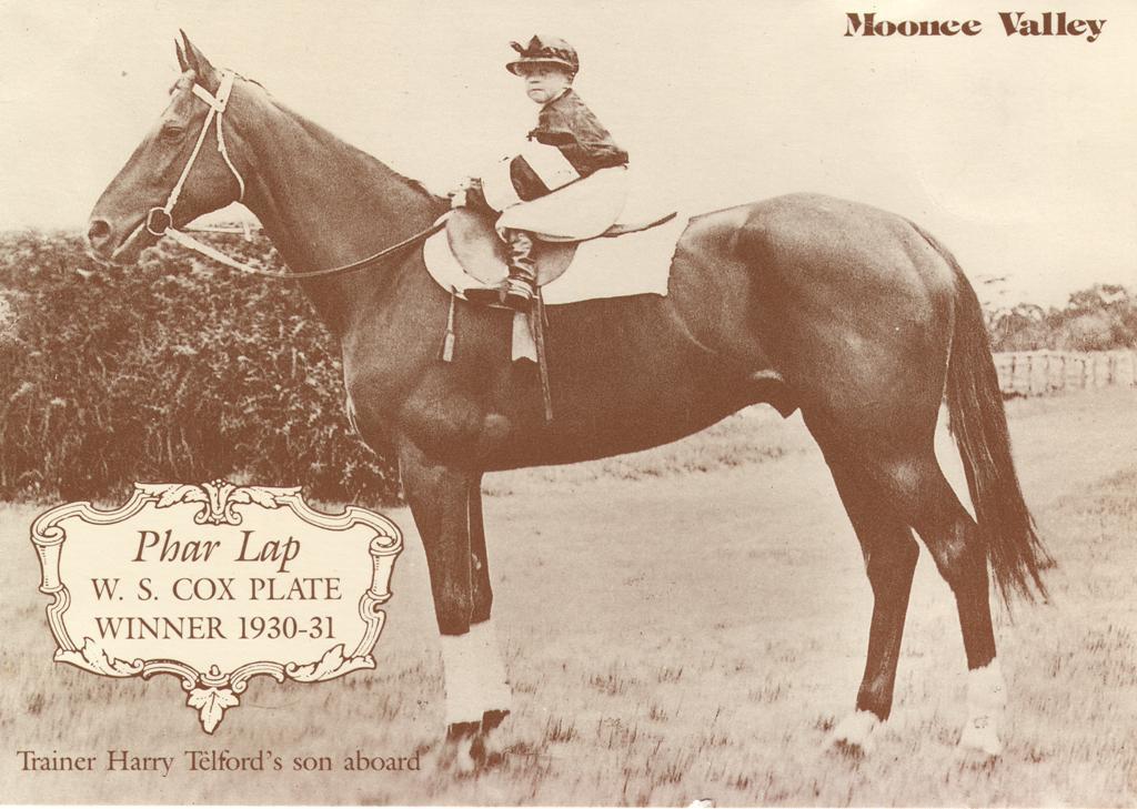 Photo card: Phar Lap, W.S. Cox Plate Winner 1930-31 - Australian Racing ...