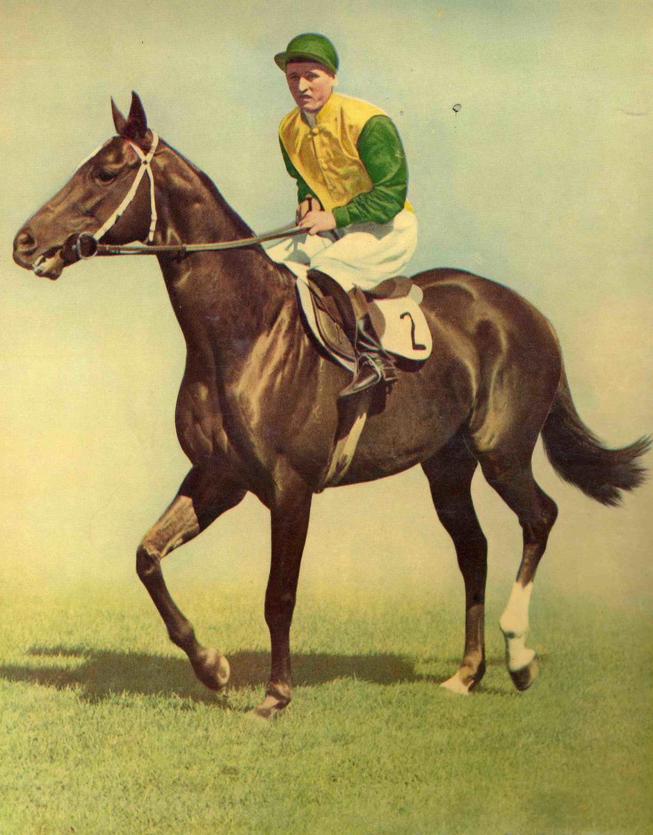 Print: Hall Mark - Australian Racing Museum