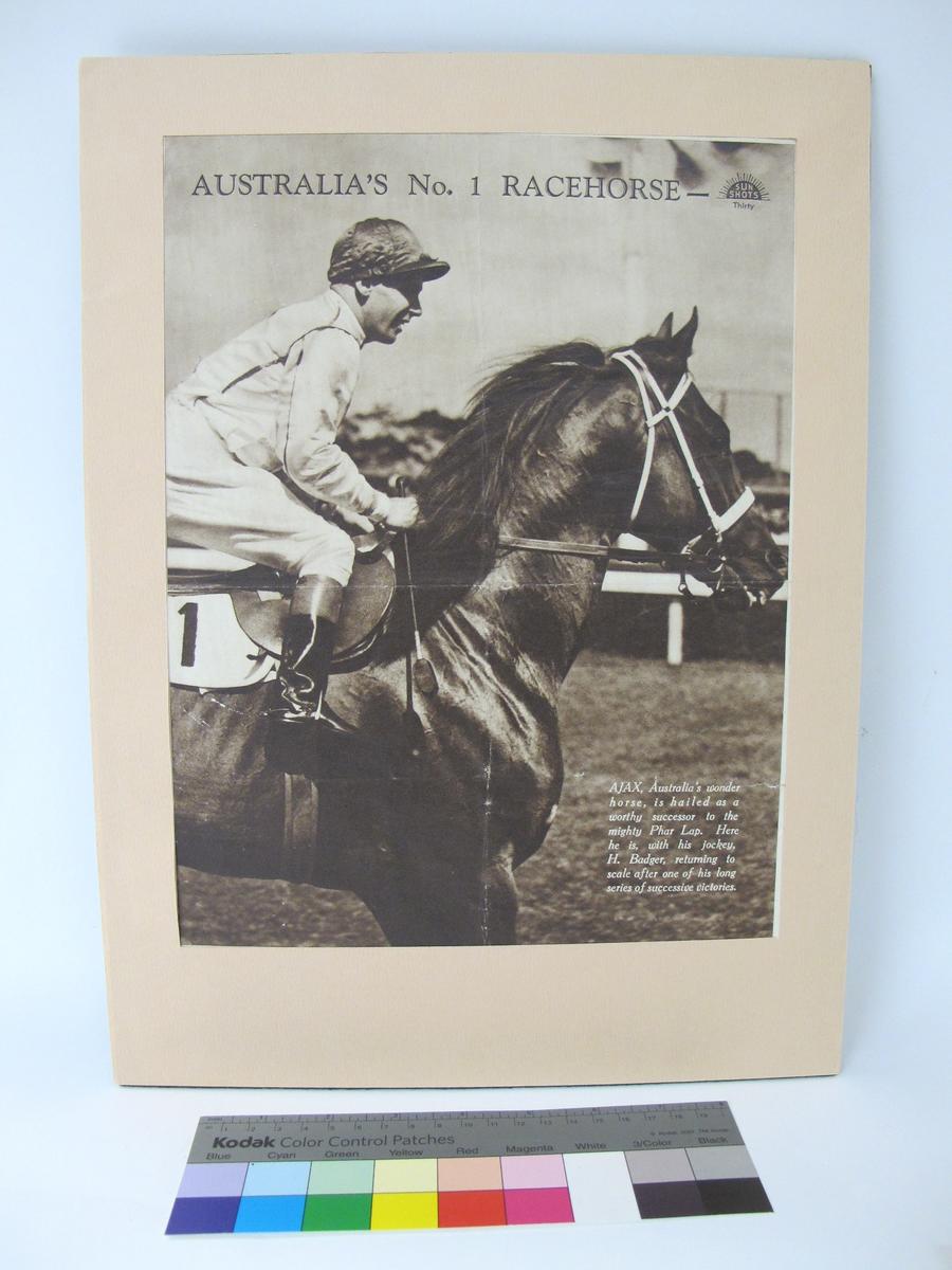 Newspaper Clipping: Australia's No.1 Racehorse - Australian Racing Museum