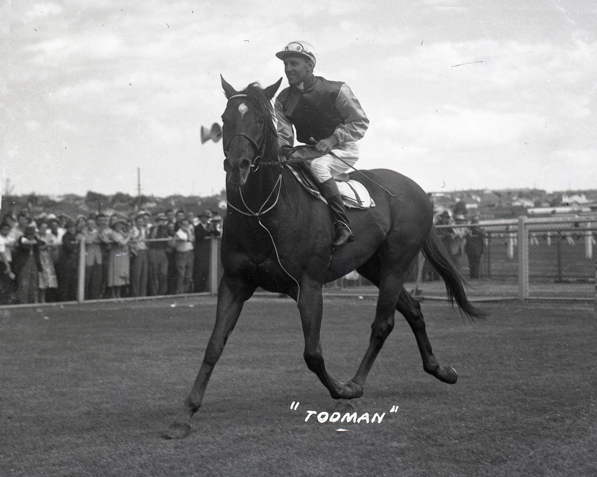 Todman - Australian Racing Museum