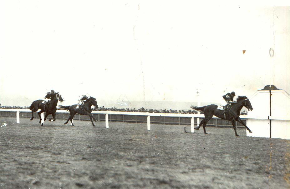 Photograph; South Australian Derby, 1934 - Australian Racing Museum