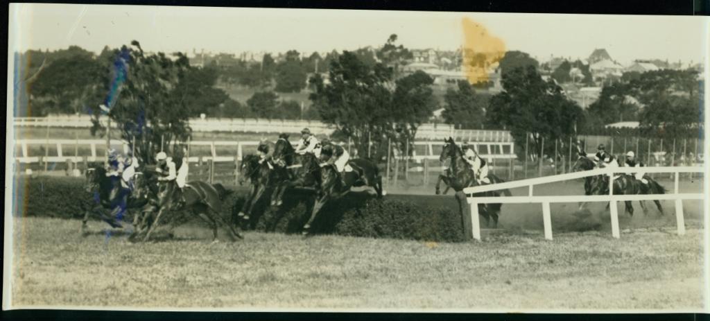 Photograph; Jumping Jumbo - Australian Racing Museum