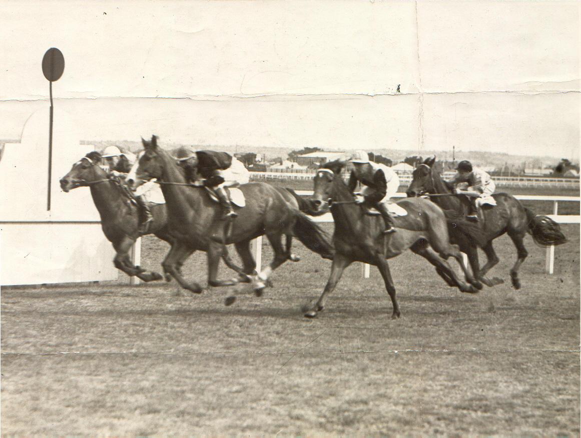 Photograph; Rosebery Flying Handicap, 1934 - Australian Racing Museum