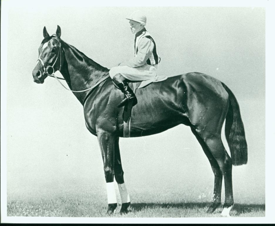 Photograph - Australian Racing Museum