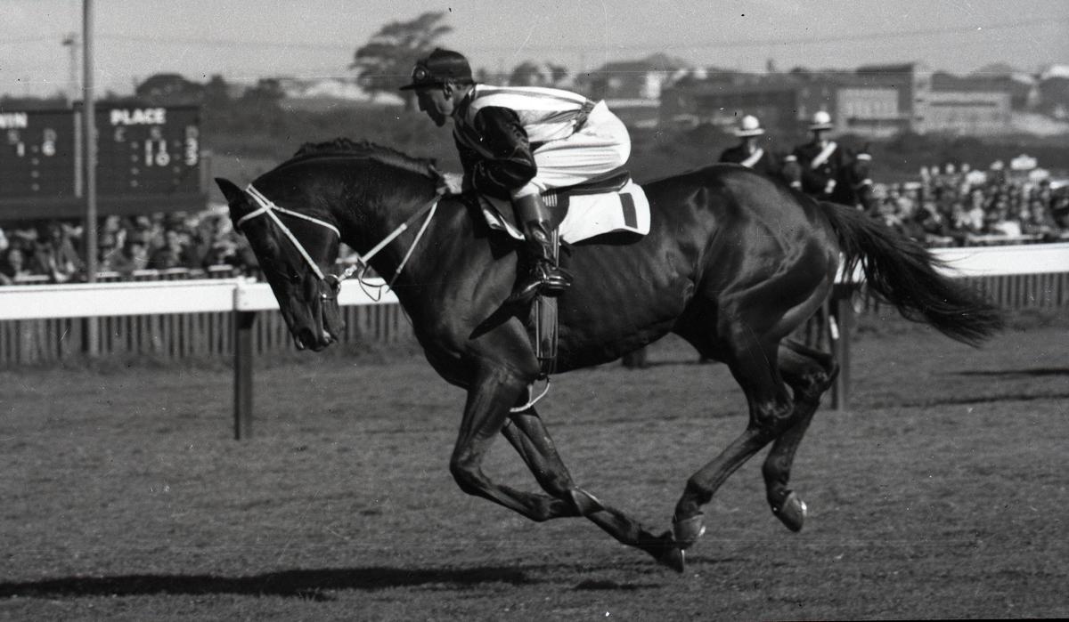 Tulloch - Australian Racing Museum
