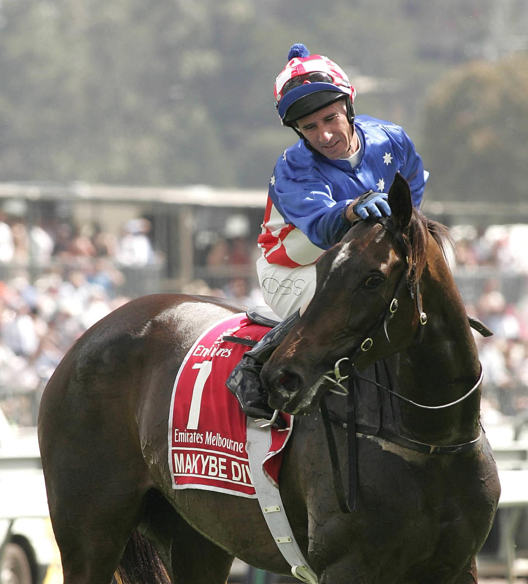 Makybe Diva - Australian Racing Museum