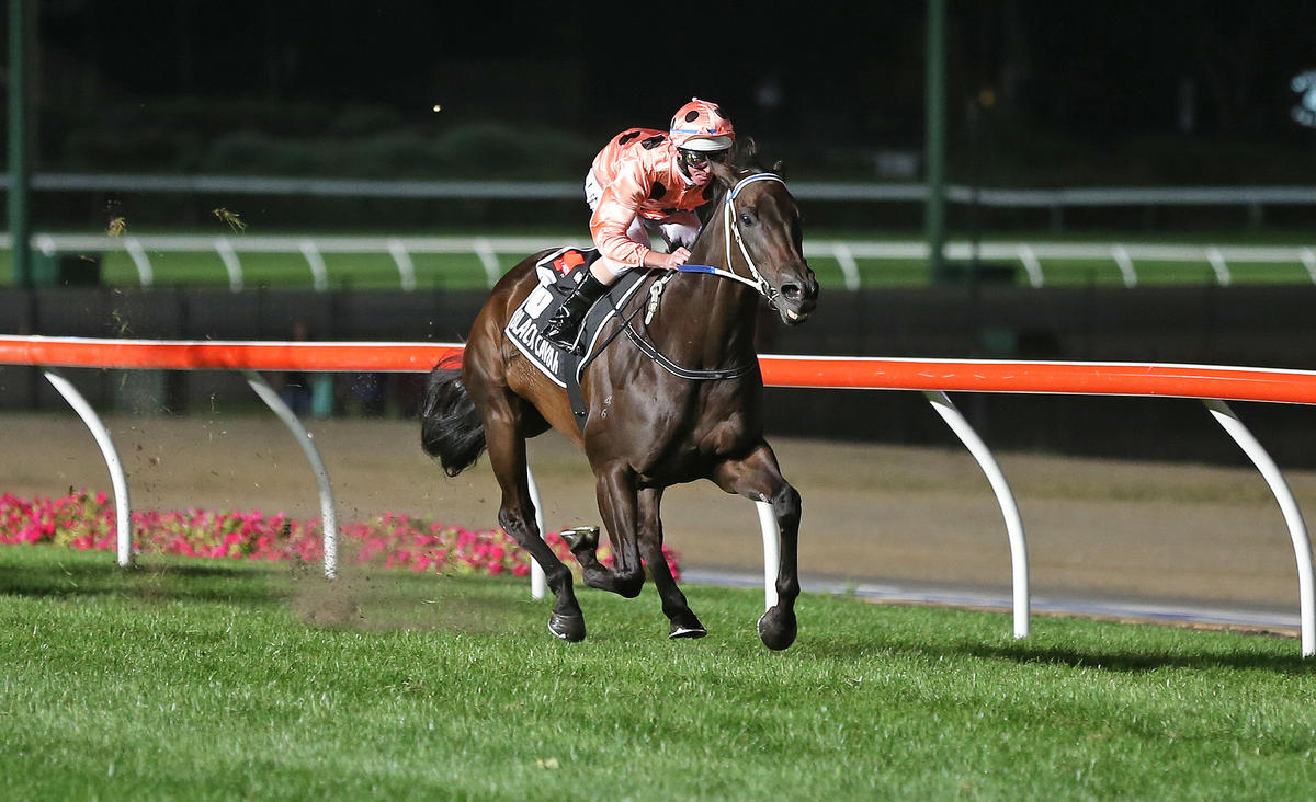 Black Caviar - Australian Racing Museum
