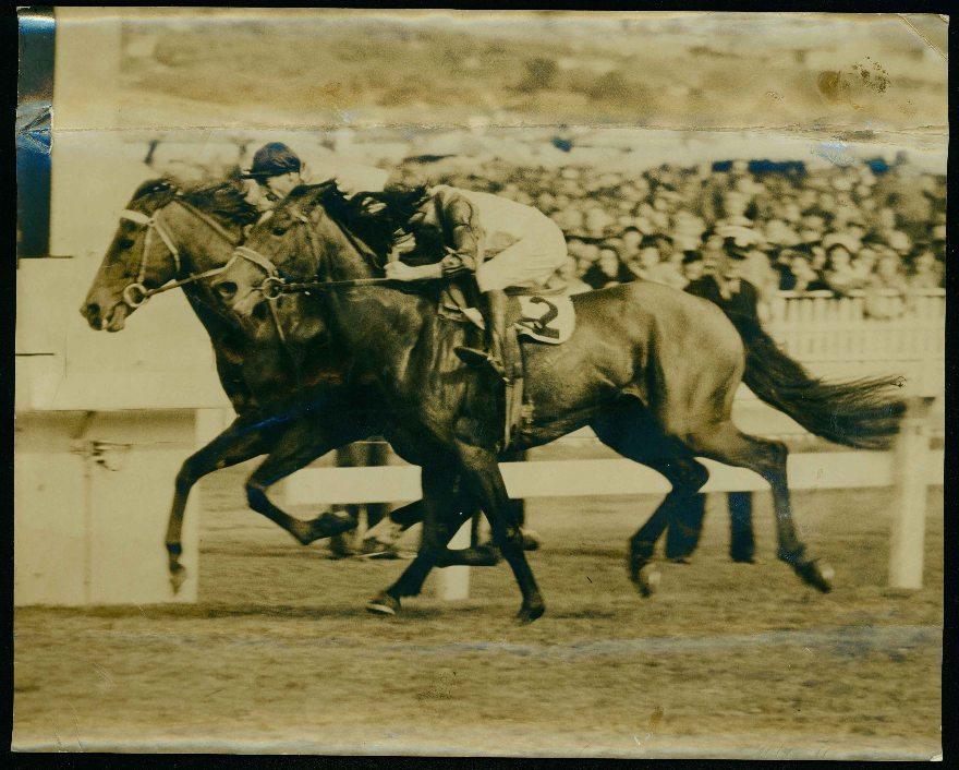 Photograph; George Main Stakes, 1949 - Australian Racing Museum
